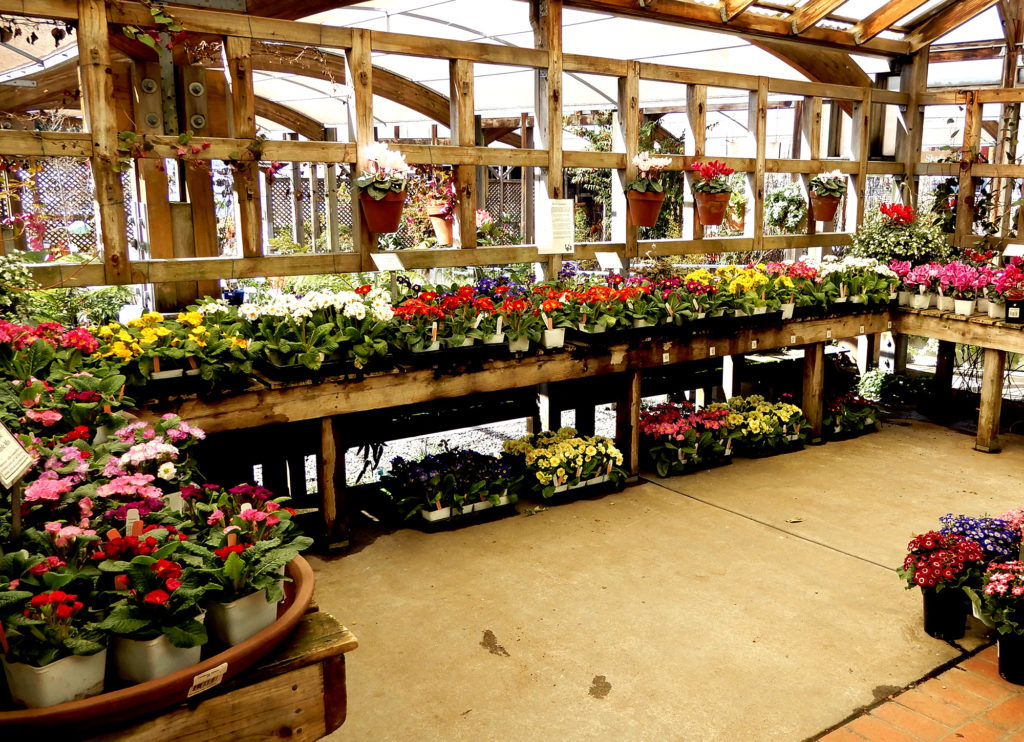 4-patio-display - Berkeley Horticultural Nursery Berkeley Horticultural ...